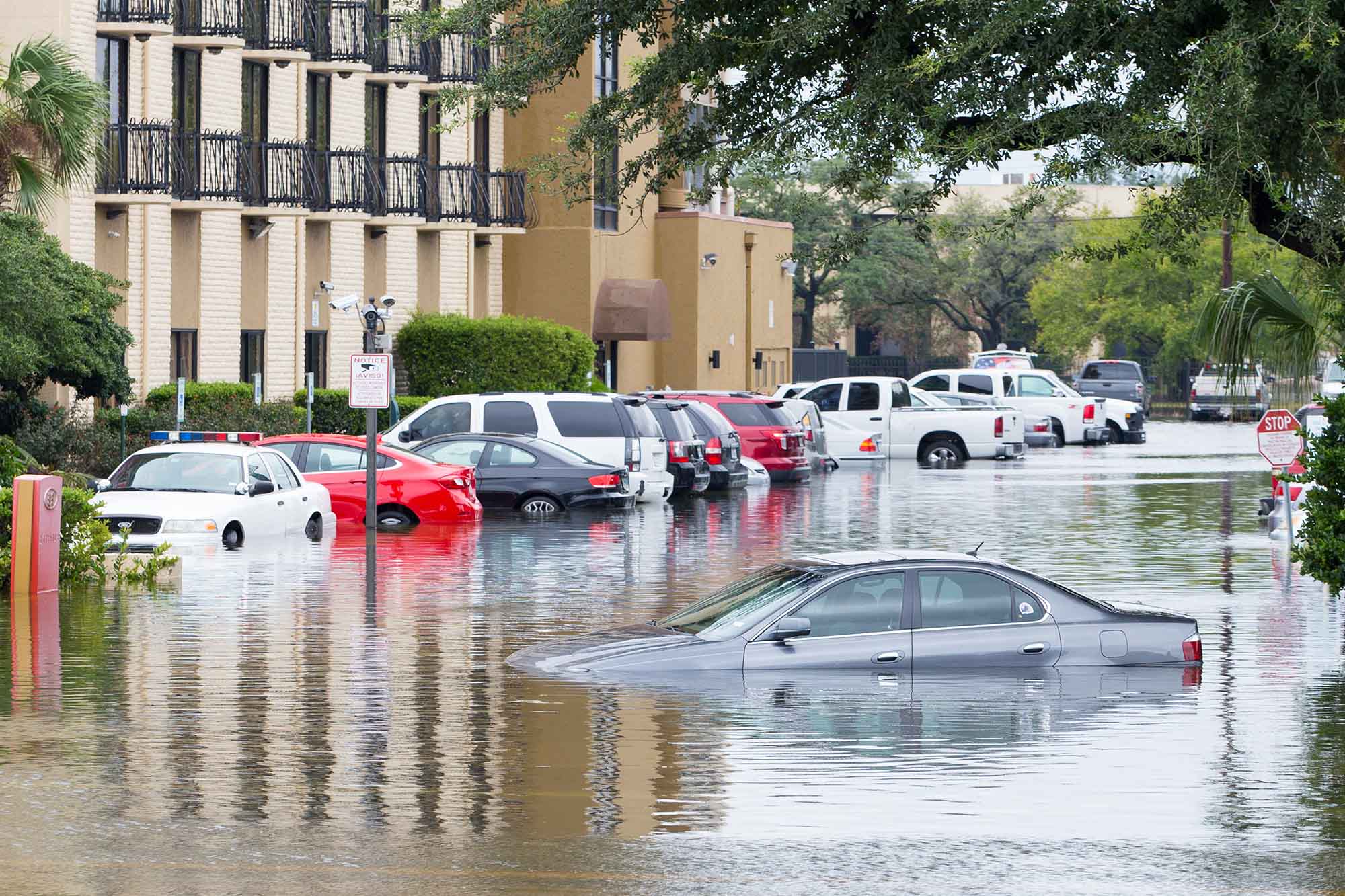 What is a Flash Flood Watch? - The Weather Station Experts