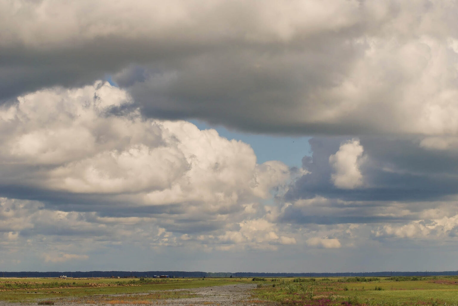 Cloud types explained: Cirrus, Cumulus, Stratus & More